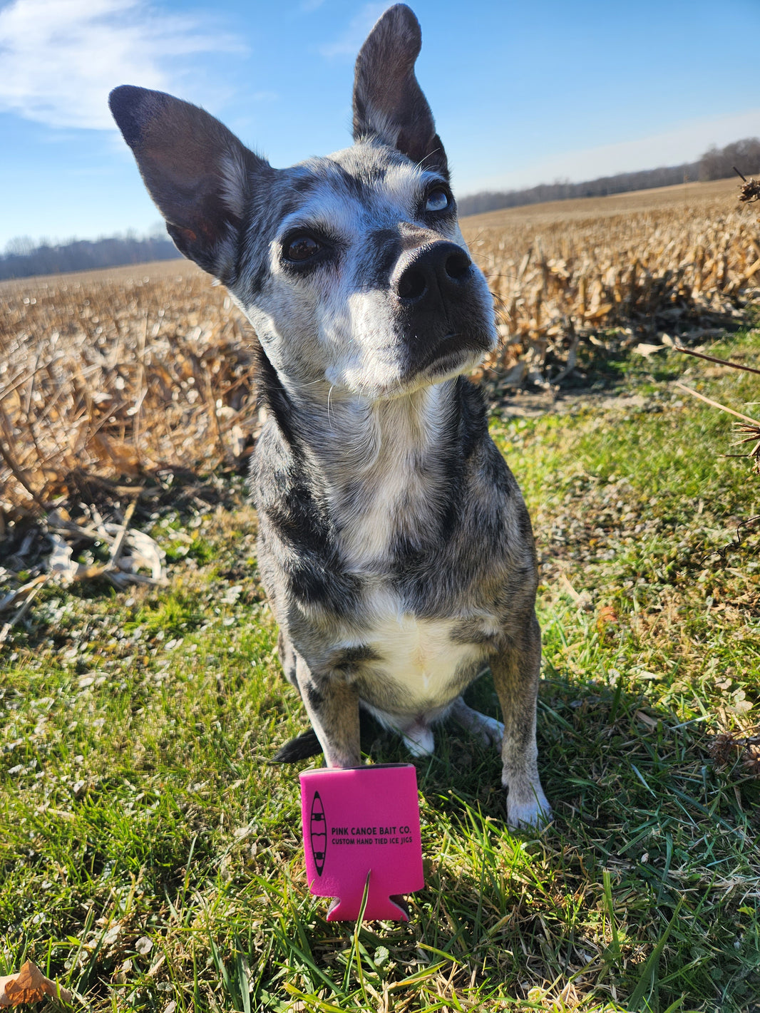 Products – Pink Canoe Bait Co.